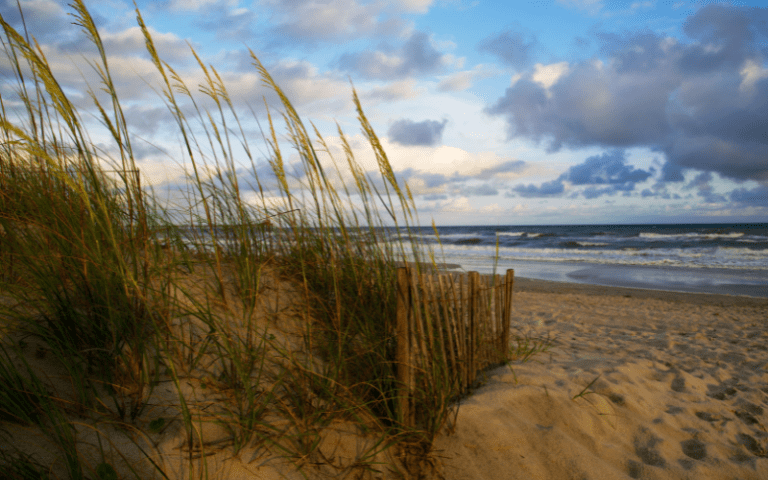 Brunswick island beaches - Live Coastal